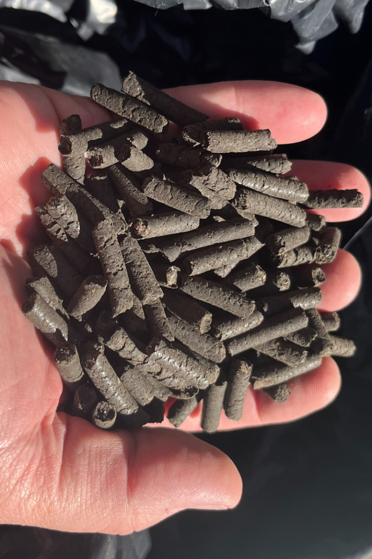 Biochar Is Key to Cascading Benefits in Innovative Carbon Chicken ...