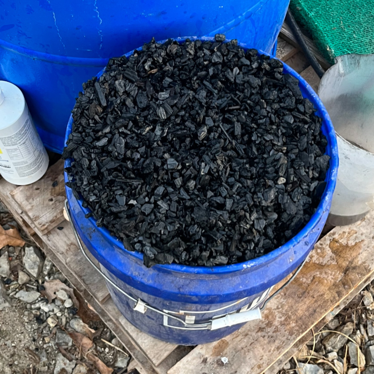Biochar Is Key to Cascading Benefits in Innovative Carbon Chicken ...