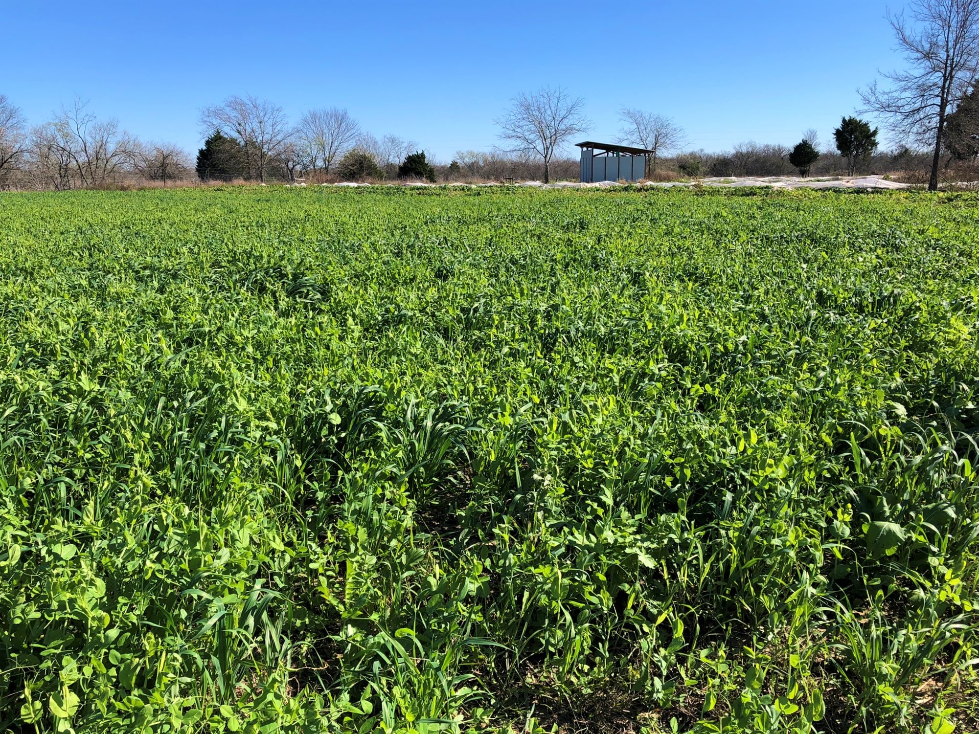 Research Evaluates Relationship Between Adopting Soil Health Practices ...