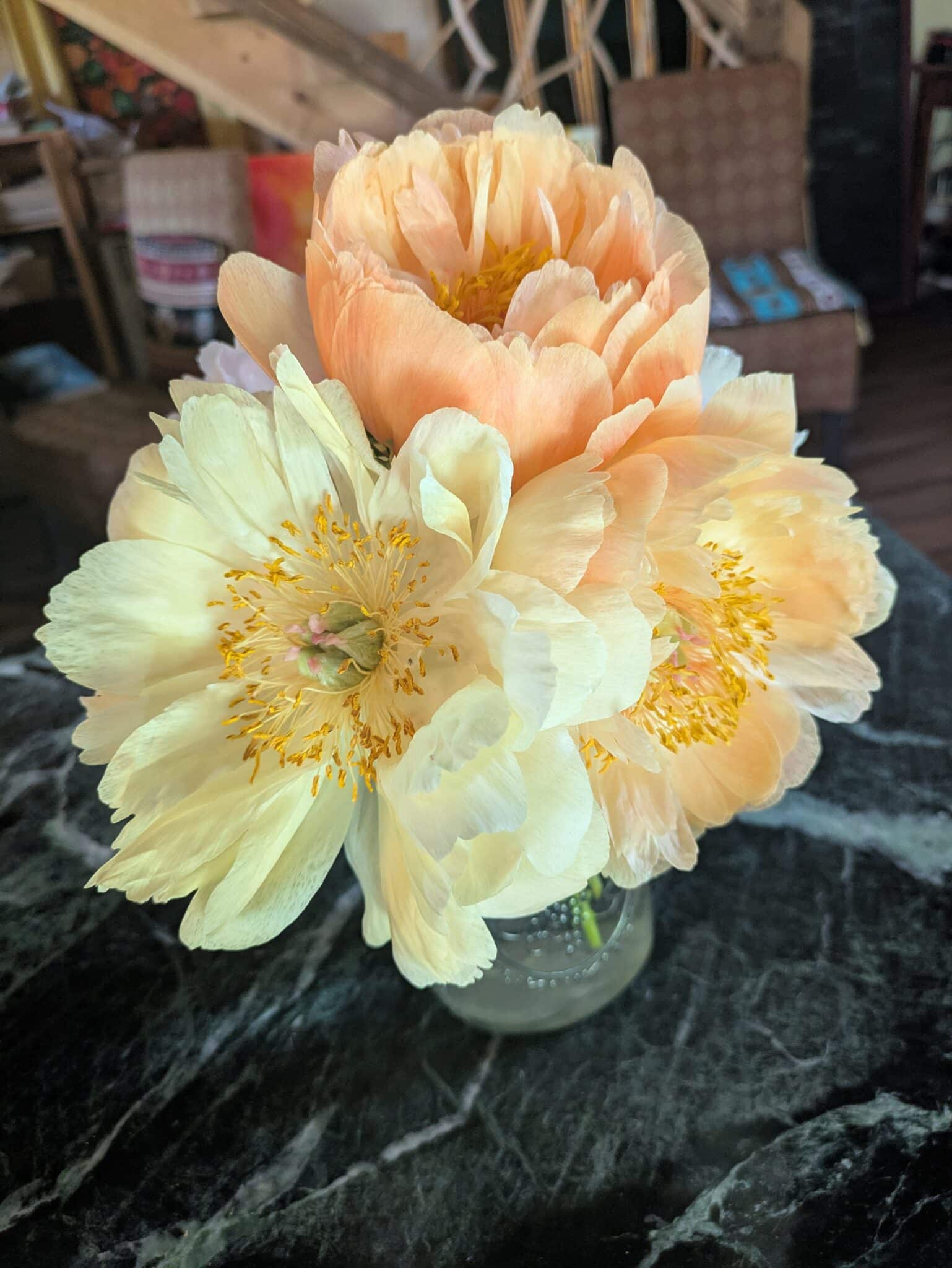 Peonies: A High-Value Perennial for Profit and Joy – NCAT